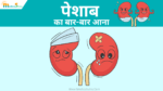 पेशाब करने के बाद भी पेशाब आना; 20 आसान घरेलू उपाय पेशाब के रोगो को ...